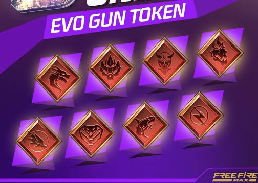 EVO token বক্স